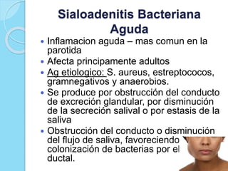 Patologia quirurgica de glandulas salivales | PPTX