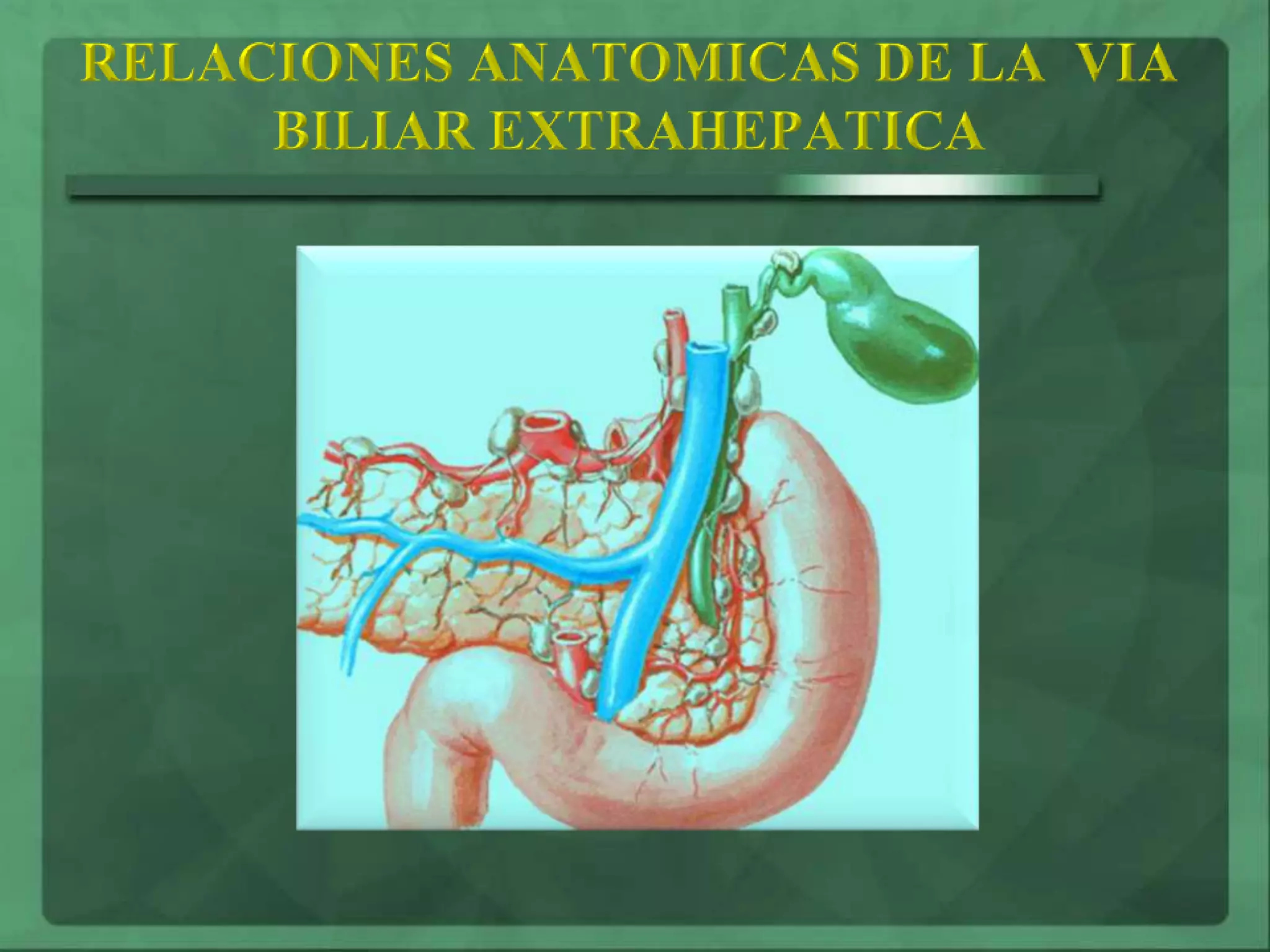 Patología quirúrgica de vía biliar | PPT