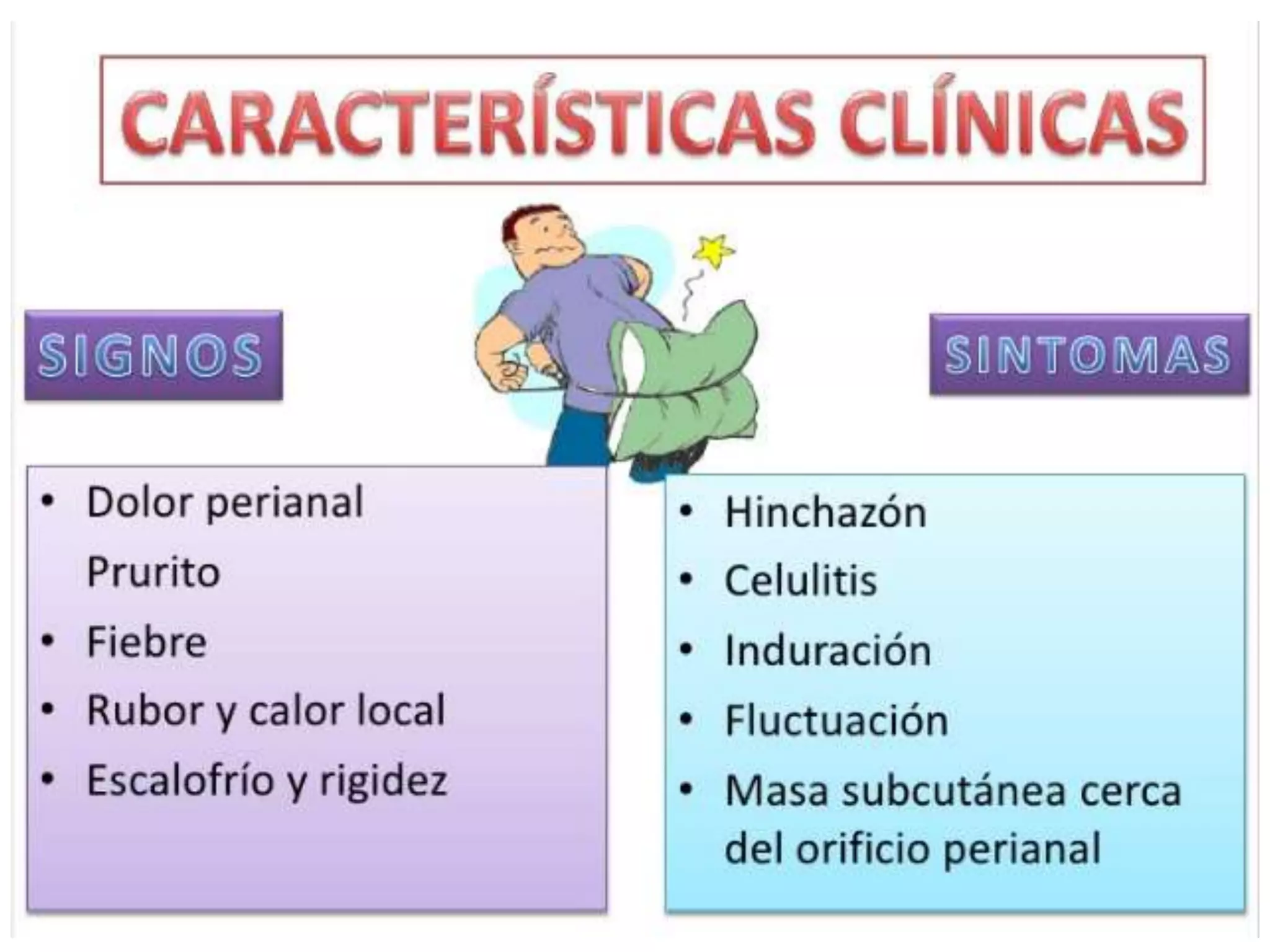 anatomia recto anal y absceso perianal | PPT