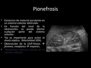 PATOLOGÍA RENAL Y DE LAS VÁS URINARIAS EN ECOGRAFÍA | PPT