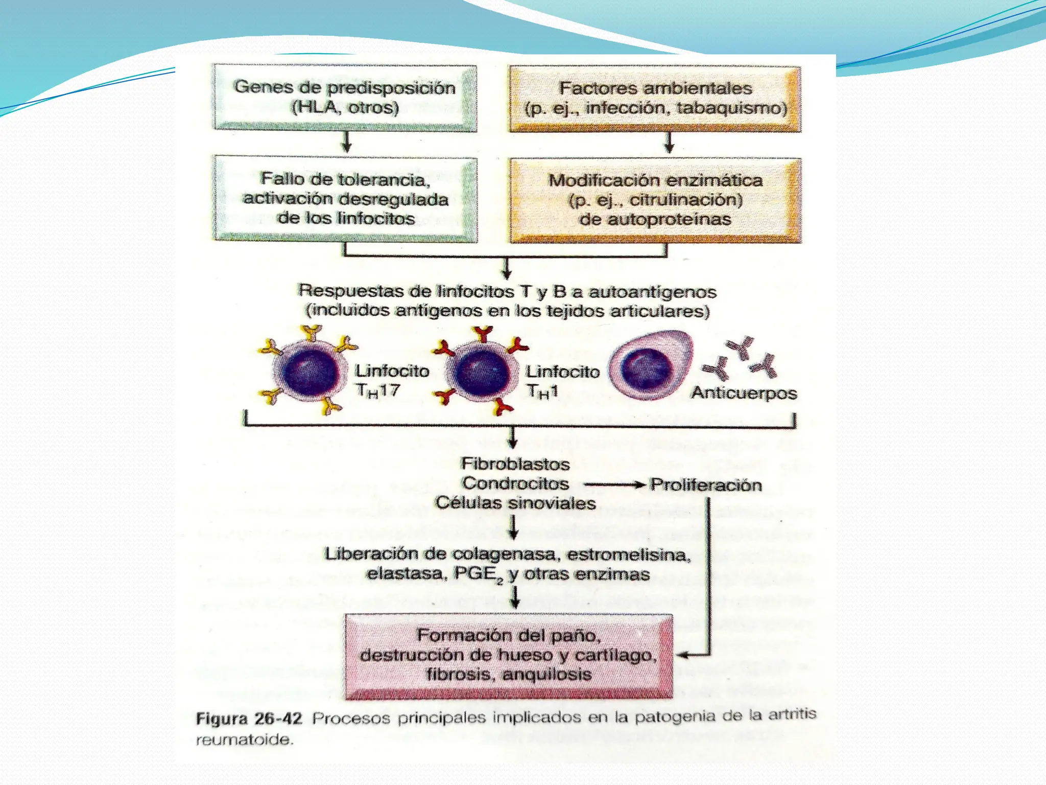 PATOLOGIA REUMATOLOGICA PRESENTACION PPT | PPTX