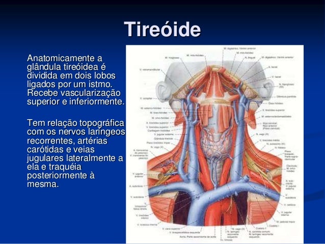 Patologias da tireóide
