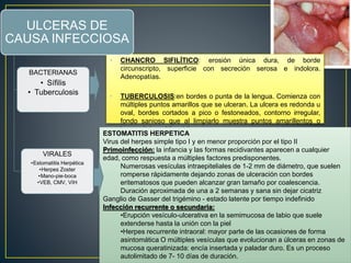 Patologias de la cavidad bucal y glandulas salibales Dr. Fonseca | PPT