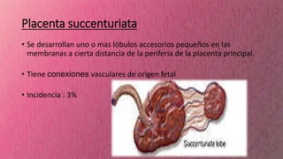 Patologias de la placenta.pptxmmmmmmmmmmmm | PPTX