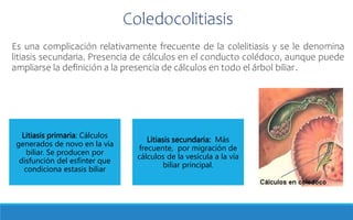 Patologias de la via biliar, anatomia, fisiopatologia, diagnostico y ...