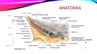 Patologías del canal inguinal | PPTX
