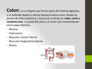 PATOLOGIAS DEL COLON Y RECTO, como .pptx