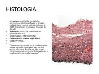 Patologias del esofago | PPTX