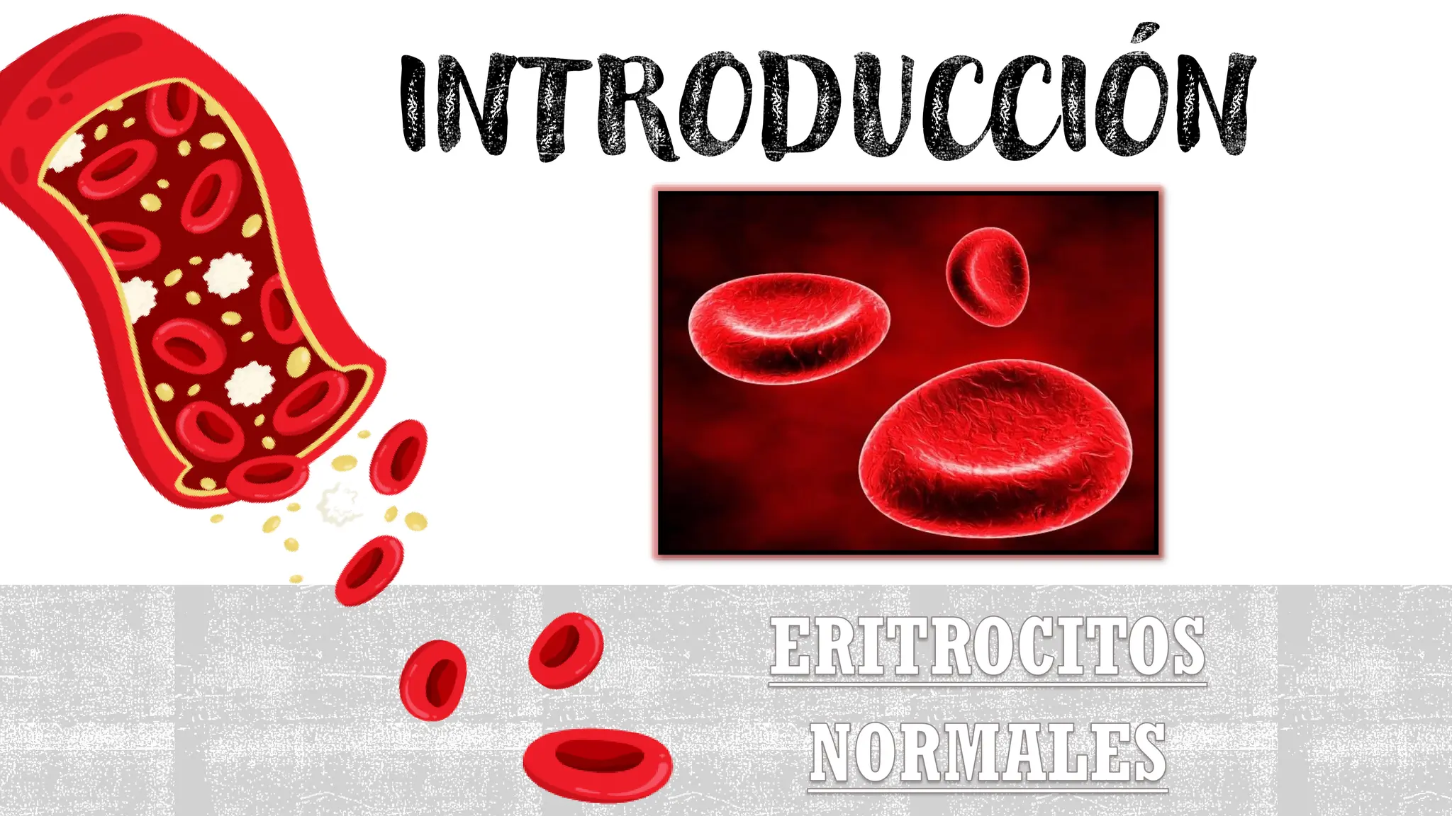 Patologías de los eritrocitos-Histologia.pptx | PDF