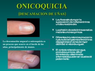 Patologias De UñAs Y Pies | PPT
