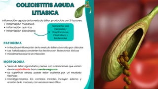 patologias de vesicula y pancreas, sx diarreico.pdf