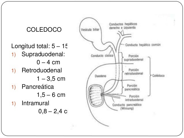Patologias de vias biliares
