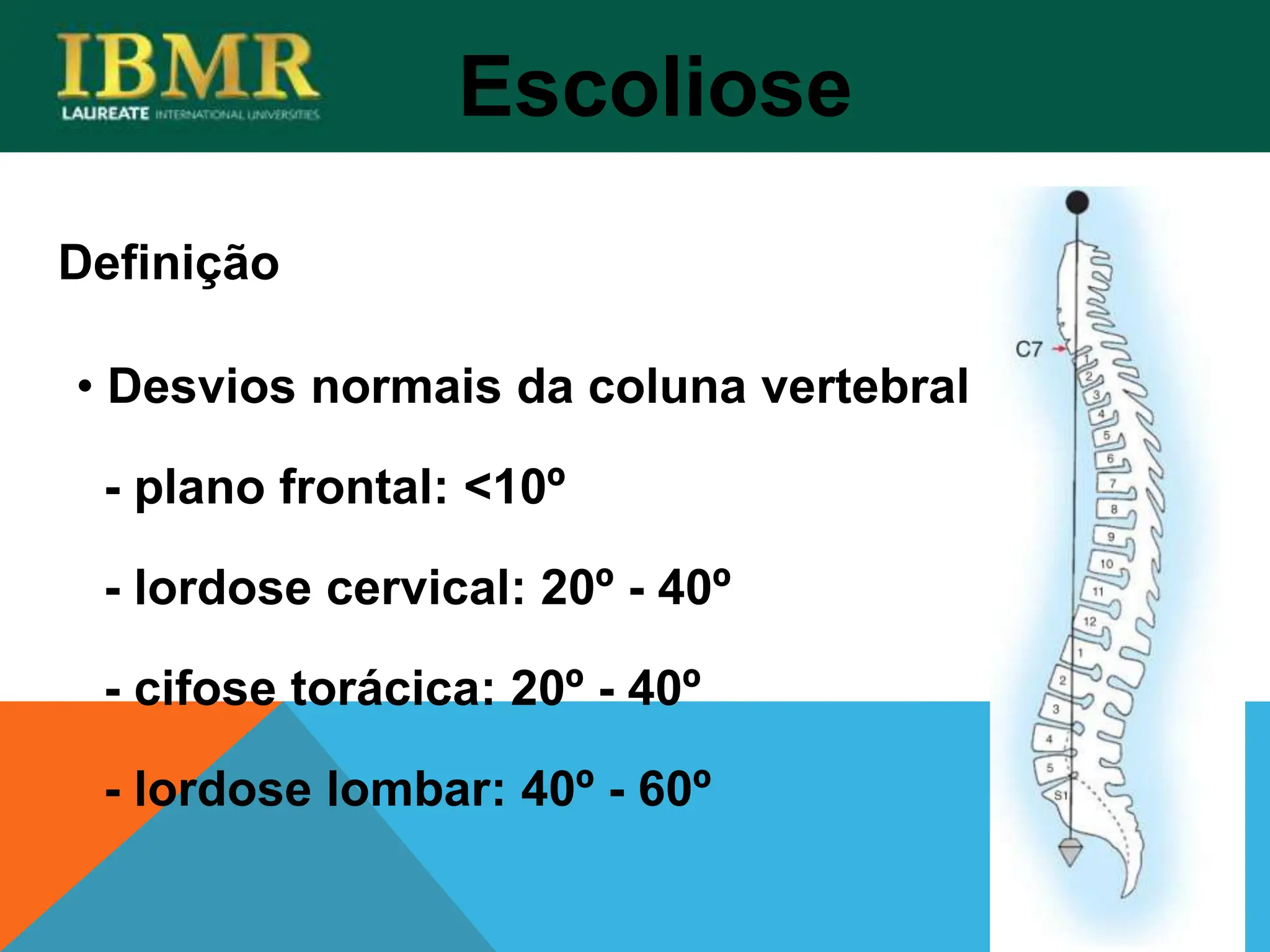 Anatomia e Patologias do Coluna Vertebral.ppt