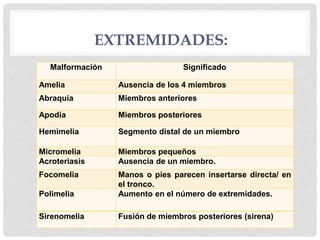 Patologia sistema musculoesquelético | PPTX