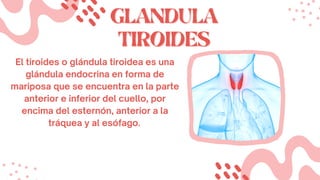 PATOLOGIAS MAS RELEVANTES DE LA GLANDULA TIROIDES.pdf