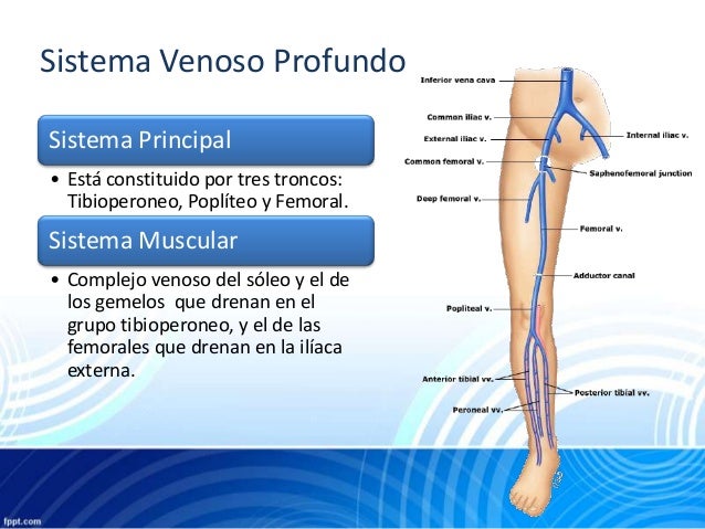 Patologias venosas perifericas