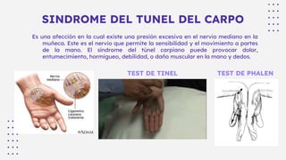 PATOLOGIAS Y PRUEBAS OSTEOMUSCULARE-FISIOTERAPIA | PPTX