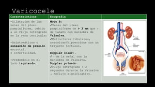 PATOLOGIA TESTICULAR POR DIAGNOSTICO POR IMAGENES.pptx