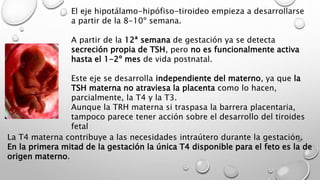 Seguimiento del Recién Nacido con alteraciones tiroideas | PPTX