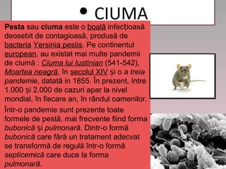Patologia umană | PPT