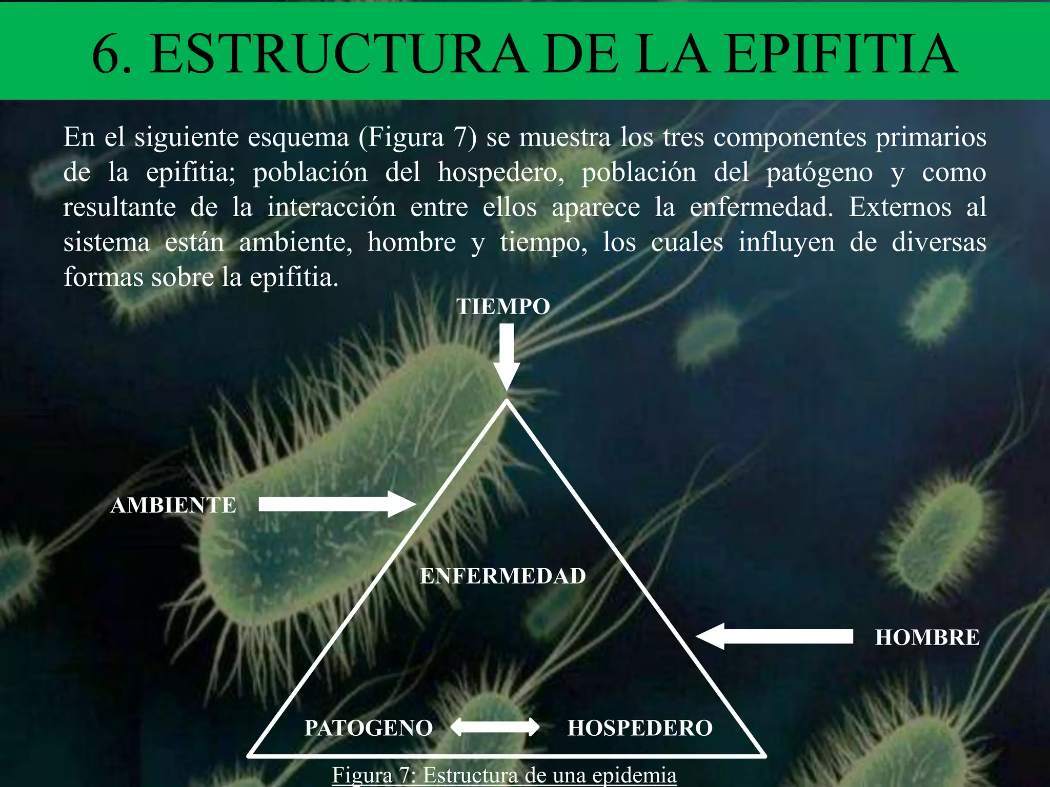 Patologia vegetal (epifitiologia e interaccion hospedero patogeno) | PPTX