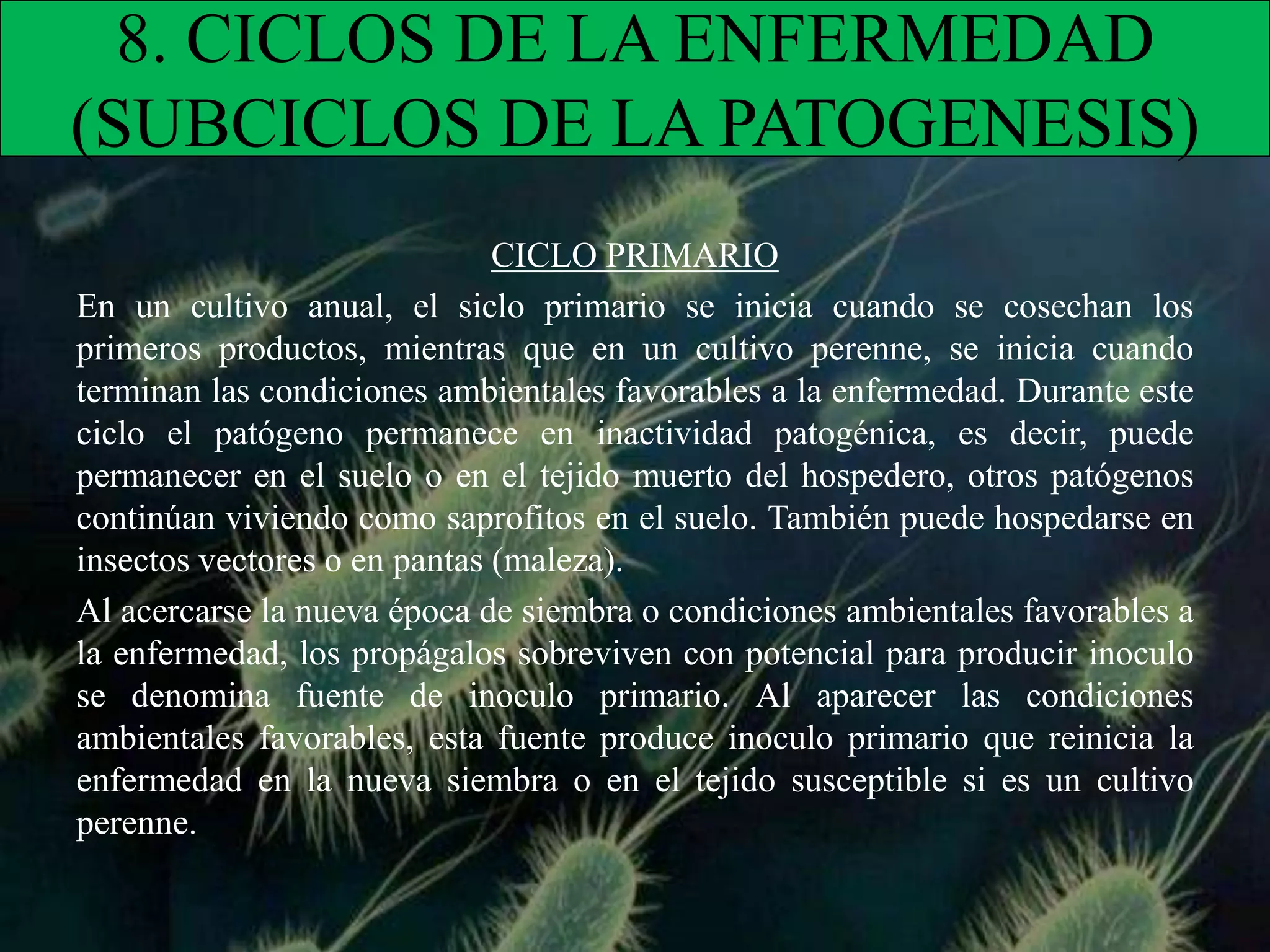 Patologia vegetal (epifitiologia e interaccion hospedero patogeno) | PPTX