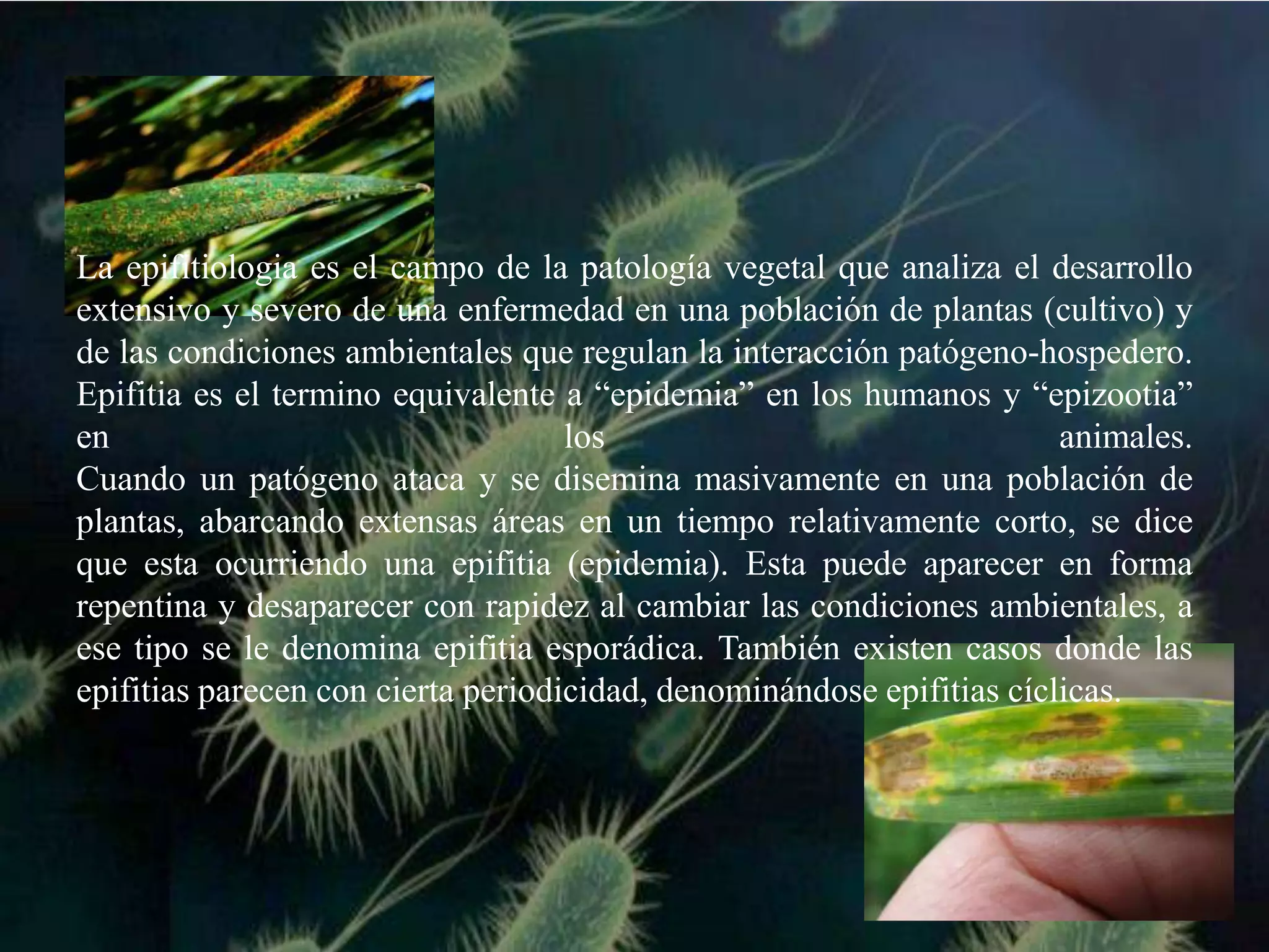 Patologia vegetal (epifitiologia e interaccion hospedero patogeno) | PPTX