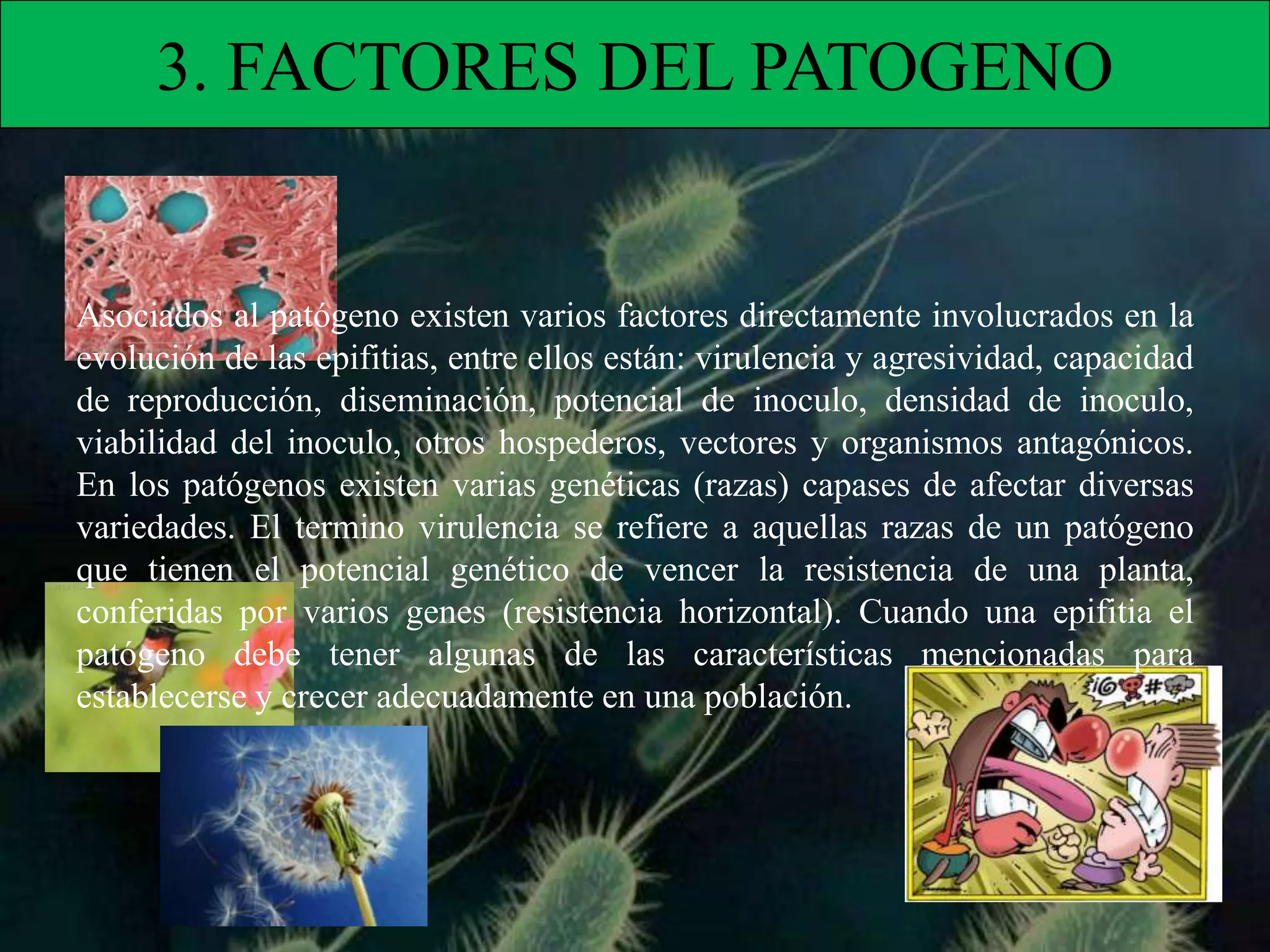 Patologia vegetal (epifitiologia e interaccion hospedero patogeno) | PPTX