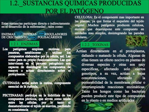 Patologia vegetal (epifitiologia e interaccion hospedero patogeno) | PPT