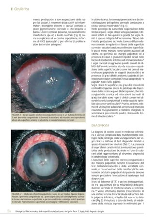 Patologie del film lacrimale nel cane e nel gatto | PDF