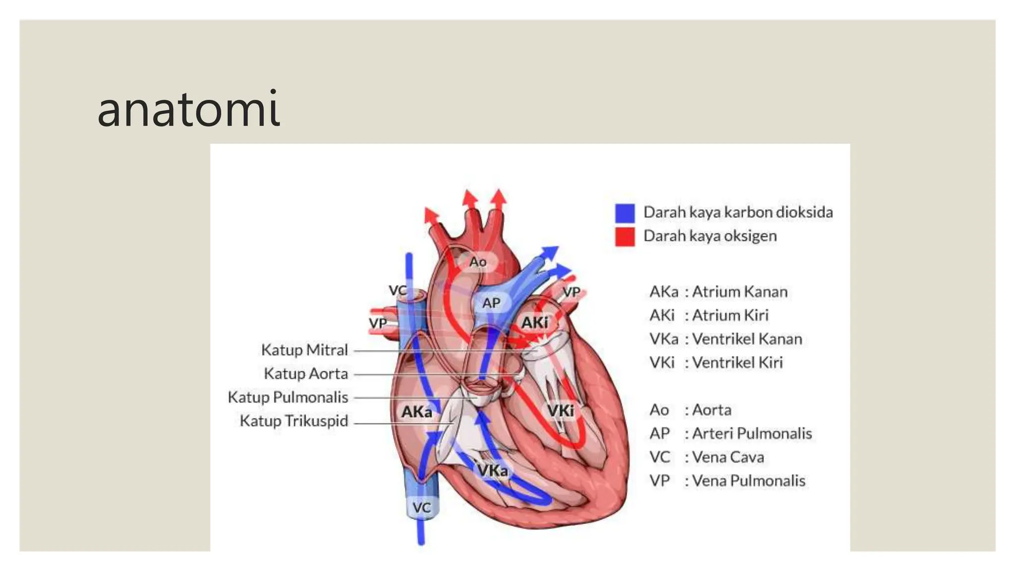 patologi sistem kardiovaskular.pptx