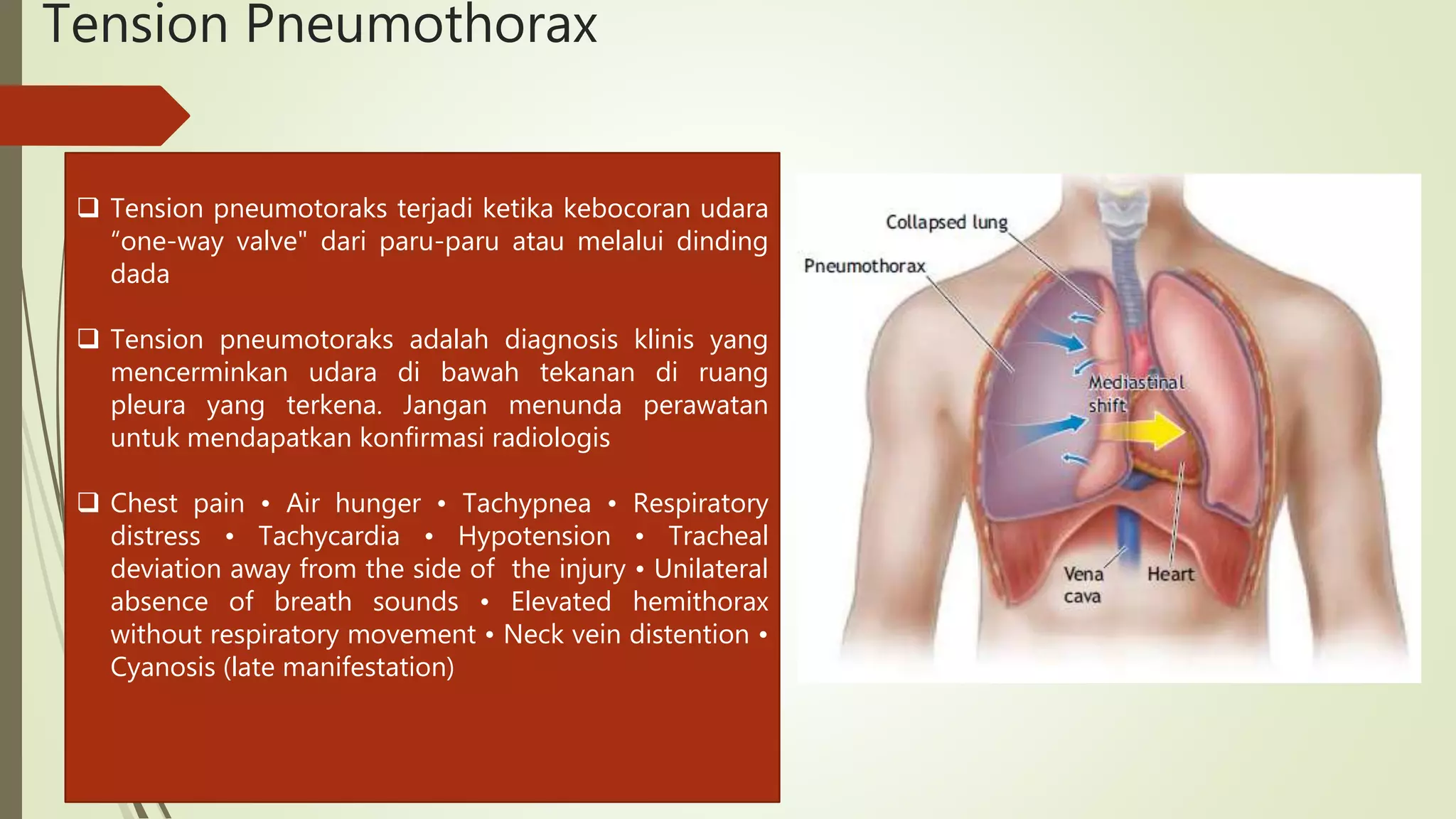 Patologi sistem respiratorik dan kardiovaskular | PPTX