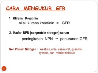 Patologi urinaria | PPTX
