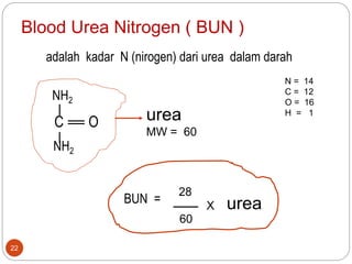 Patologi urinaria | PPTX