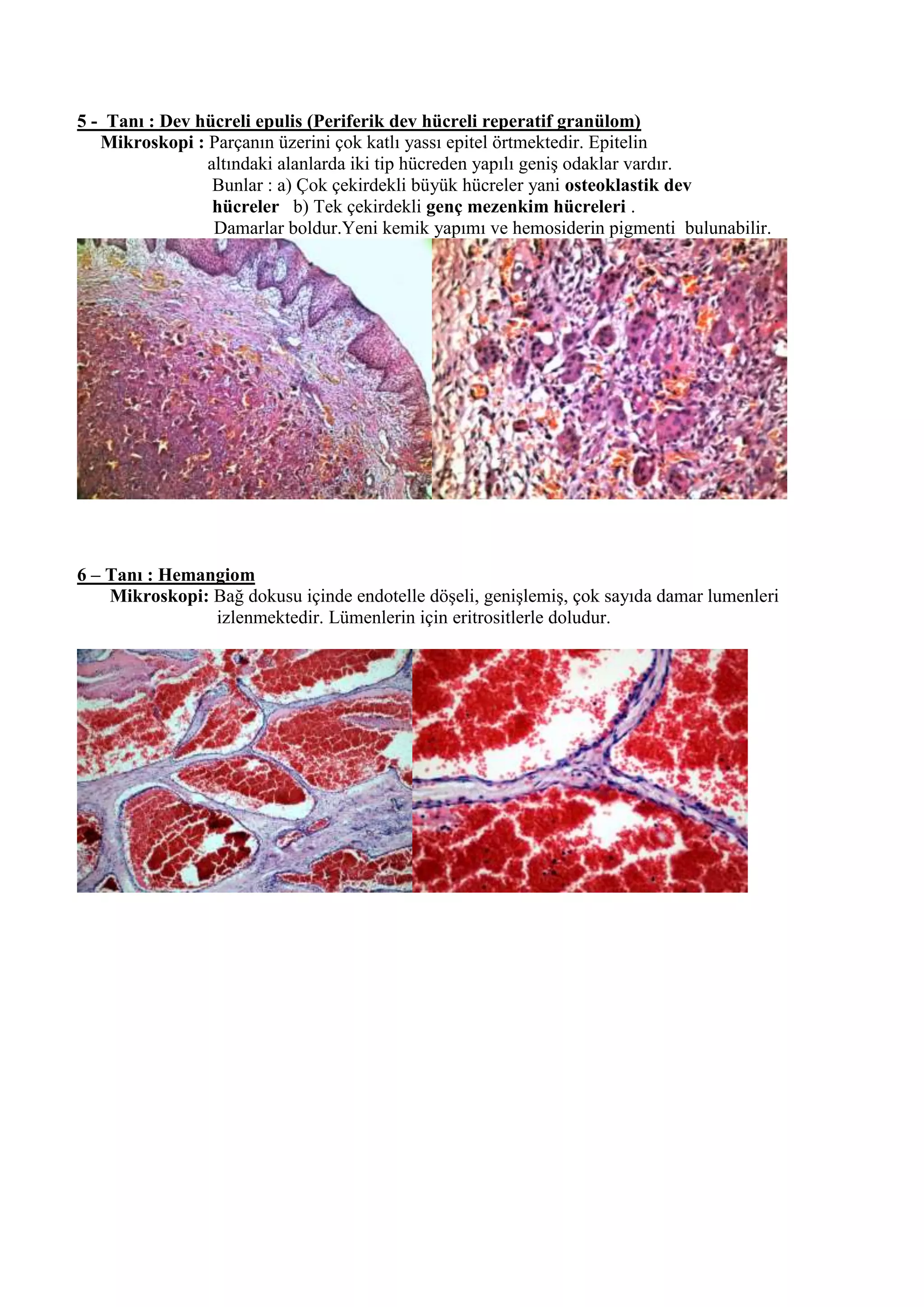 Patoloji mikroskopi pratiği | DOCX
