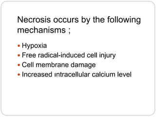 GENERAL PATHOLOGY OF CELL DEATH OF NECROSİS. | PPT