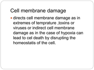 GENERAL PATHOLOGY OF CELL DEATH OF NECROSİS. | PPT