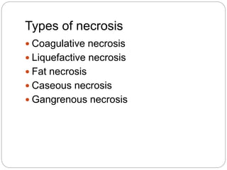 GENERAL PATHOLOGY OF CELL DEATH OF NECROSİS. | PPT