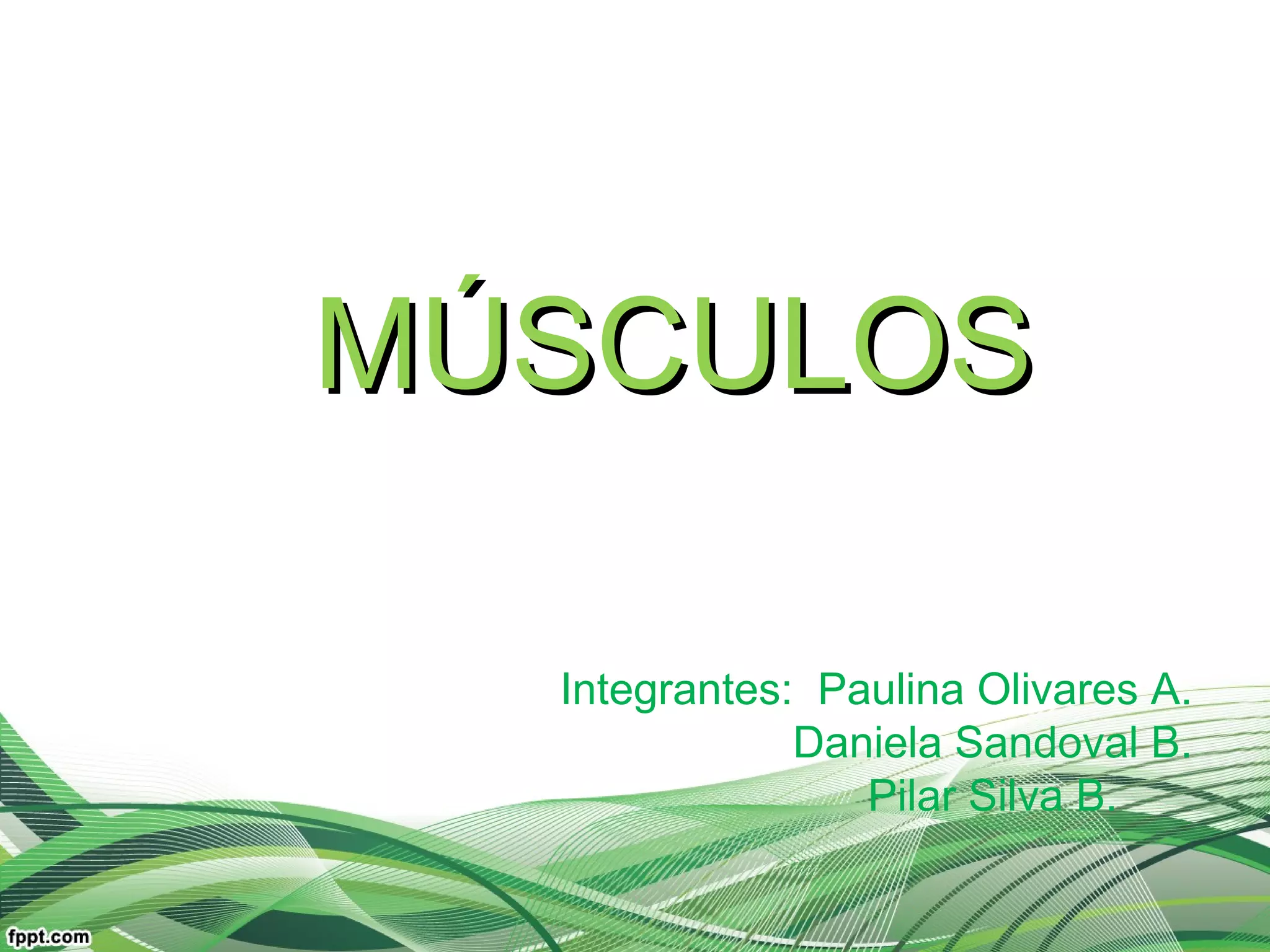 Pato mecánica del músculo1 | PPT