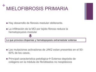 Patologia, neoplasias mieloproliferativas crónicas | PPTX