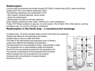 Patophisiology of urinary system Assoc prof Tanja Angjusheva.ppt
