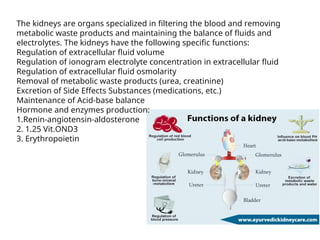 Patophisiology of urinary system Assoc prof Tanja Angjusheva.ppt