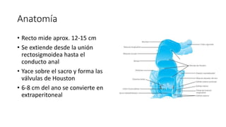Patologia anorectal | PPTX