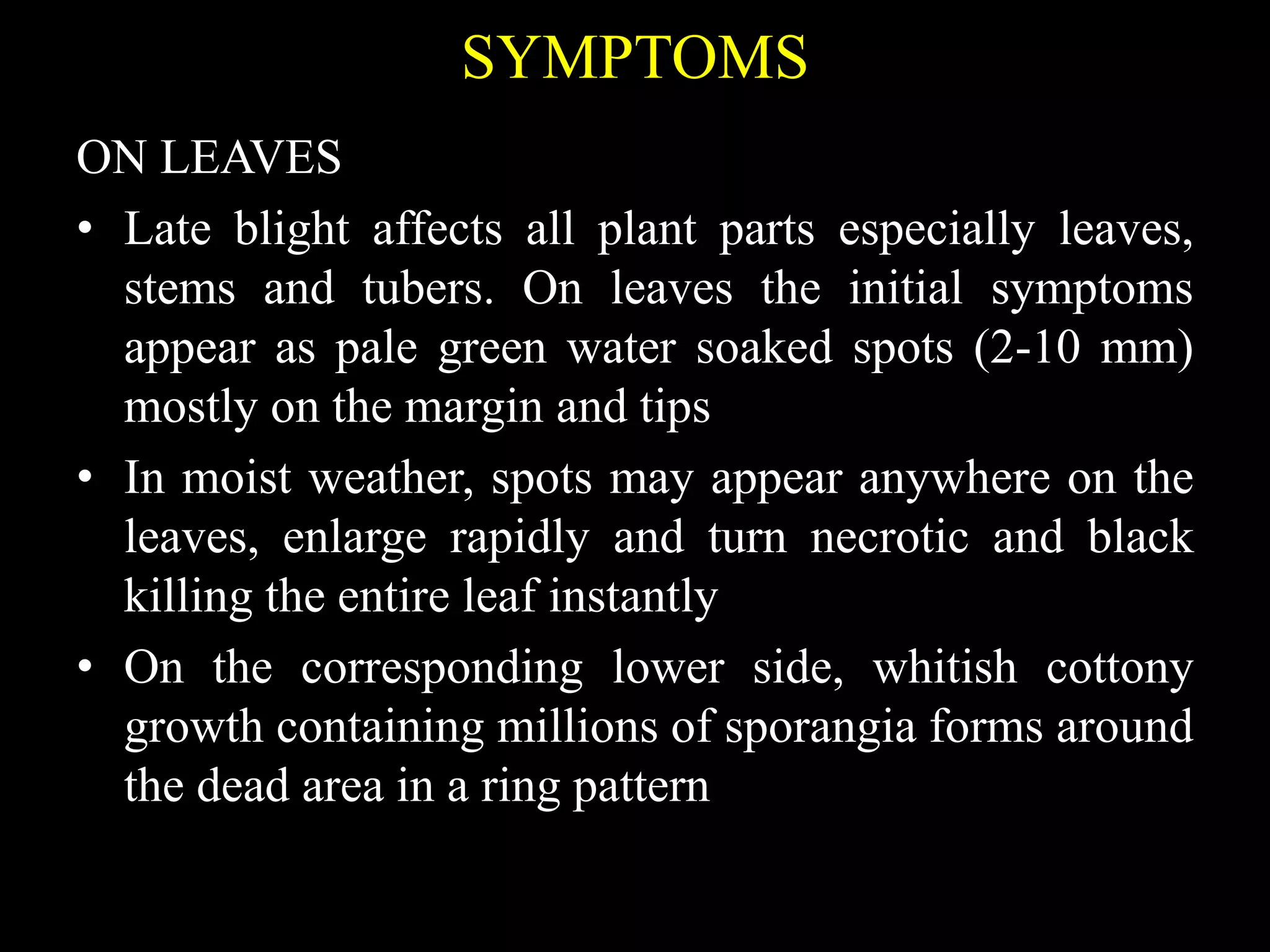 LATE BLIGHT OF POTATO | PPTX