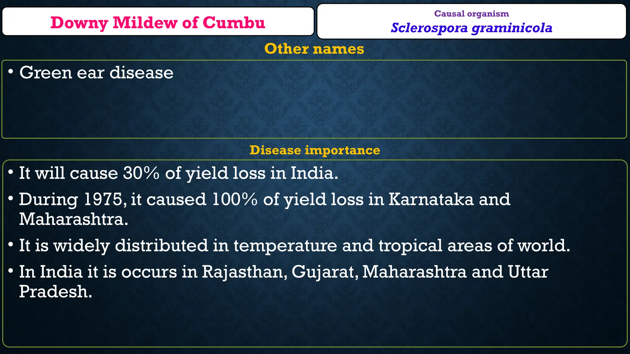Pat ppt 1.pptx Disease of cumbu (Downy mildew) | PPTX