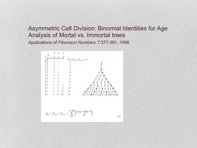 Algorithm - Fibonacci Phyllotaxis by Asymmetric Cell Division | PPT