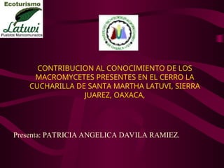 PROYECTO HONGOS DE SANTA MARTHA LATUVI.ppt