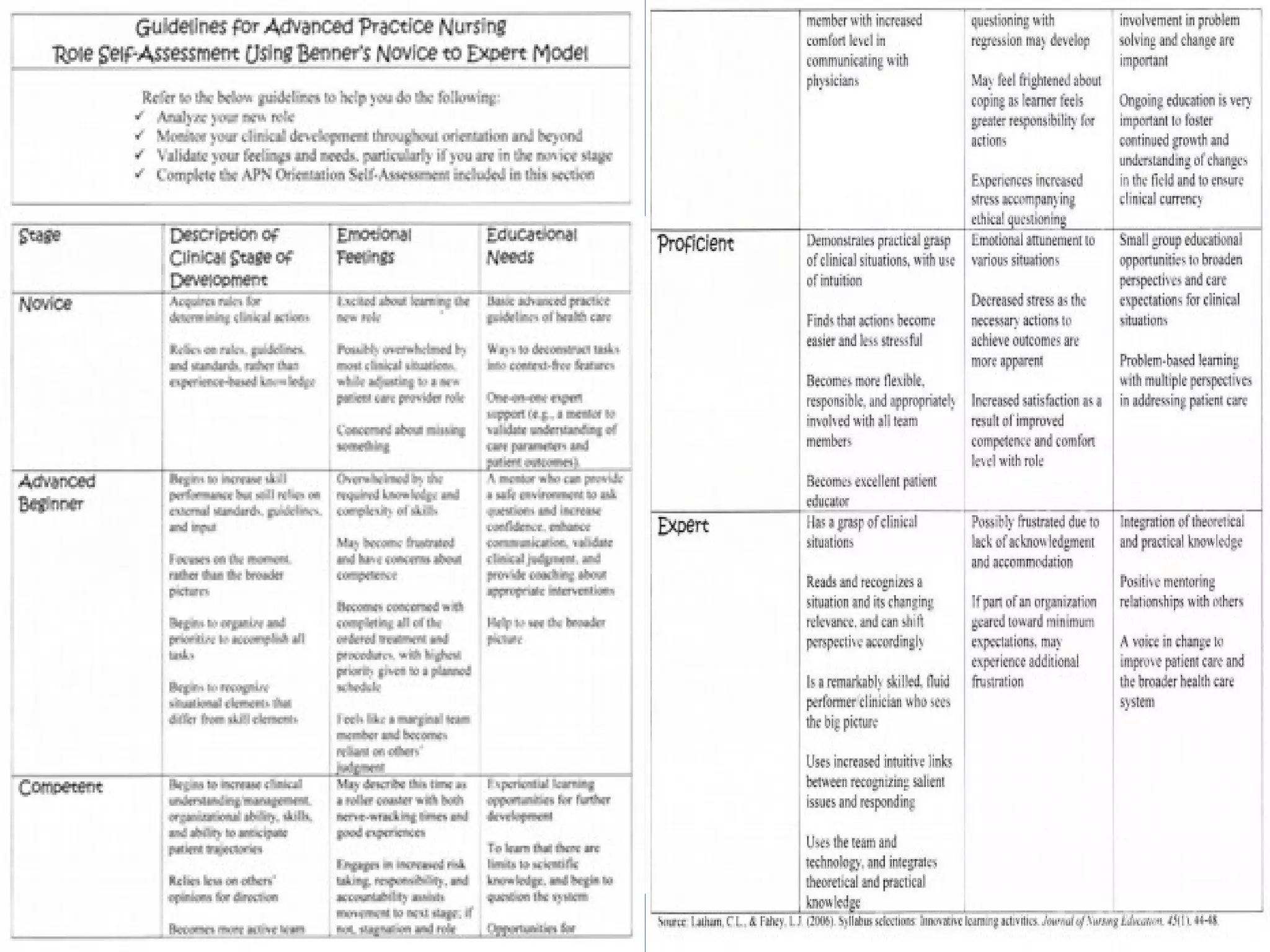 Patricia Benner (Novice to Expert Theory) | PPT