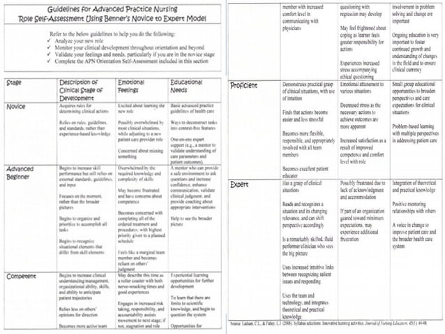 Patricia Benner (Novice to Expert Theory) | PPT
