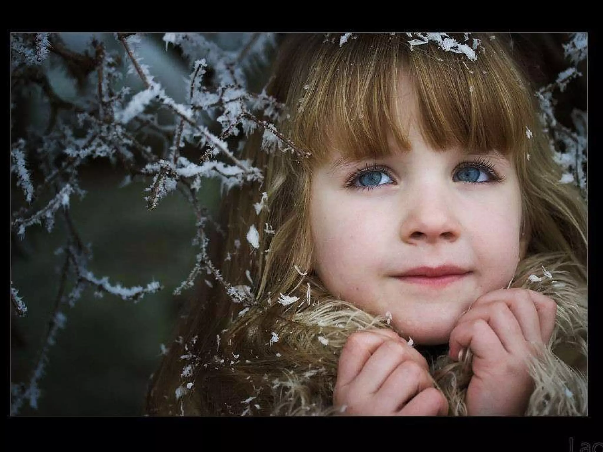 Patrick Notley's Photos | PPS